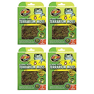 4-PACK Terrarium Moss 10 Gallon
