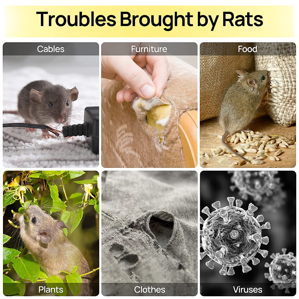 MEILEN Mouse Traps Indoor, Glue Traps for Mice and Rats, Super Heavier Rat Traps Large Size Pre-Scented Strengthen Sticky Mouse Traps for Home Safe for Children & Pets-12Packs