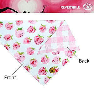 CROWNED BEAUTY Valentines Day Dog Bandanas Large 2 Pack,Pink Strawberries Adjustable Triangle Holiday Plaid Reversible Scarves for Medium Large Extra Large Dogs Pets DB13