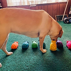 JIDOWAHOSD Dog Squeaky Toy, Dots Latex Dog Chew Toys with a Oinks Sound Squeaker Grunting Pig Dog Toy Durable Self Play 8" Dog Squeeze Toy for Dental Biting Chasing to Kill Boring Time