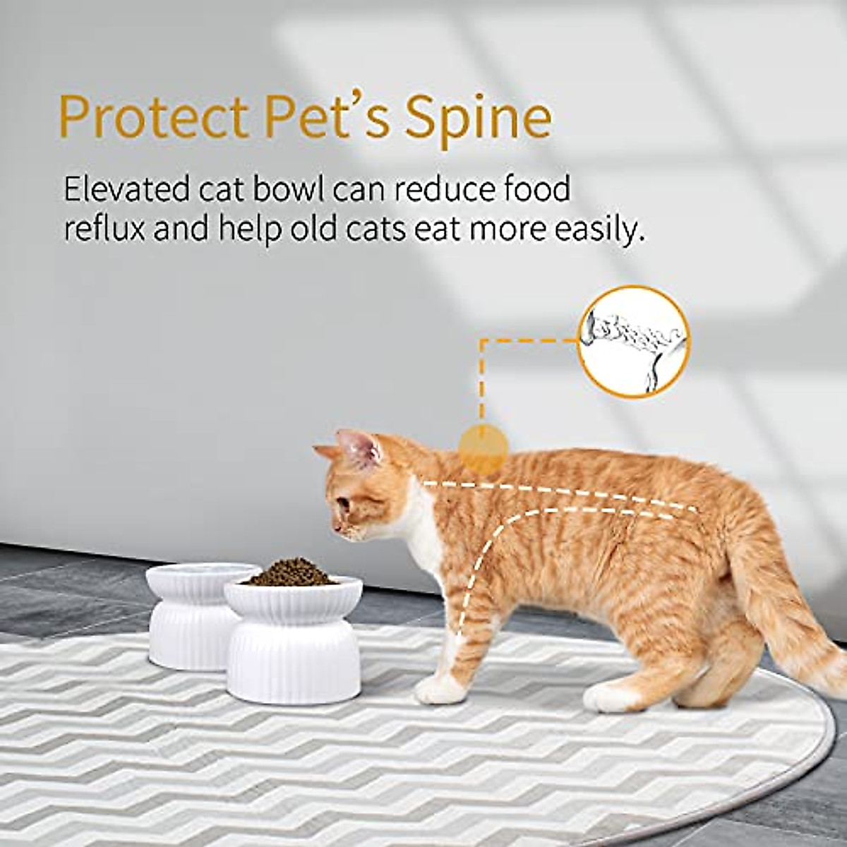 GOCESS Cat Food Bowls,Elevated-Cat Bowls for Food and Water,Ceramic Raised Cat Bowls for Indoor Cats and Small Dogs,Cat Dishes Set of 2,White