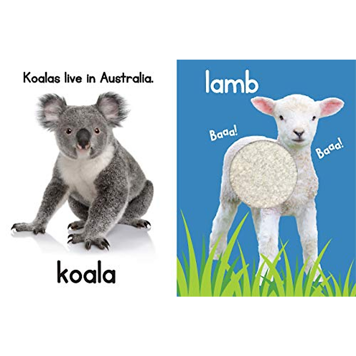 Adorable Animals - Touch and Feel Board Book - Sensory Board Book