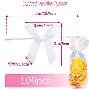 Gejoy 100 Pieces Mini Satin Ribbon Twist Tie Bows DIY Twist Bow Crafts Tying Up for Halloween Christmas Wedding Gift Wrapping Candy Treat Bags Decoration (White)