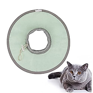 BESPORTBLE 1pc Pet Cat Collar Cat Elizabethan Collar Pet Protective Collar Elizabethan Cone Collar Puppy Dog Cone Pet Costuem Accesseories Dog Surgery Collar Pets Petg Green