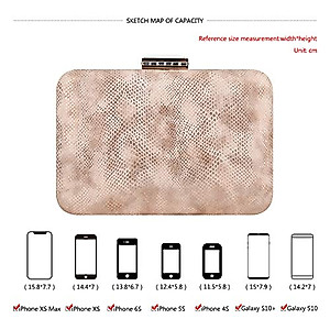 Fawziya Crystal Evening Bags And Clutches Snakeskin Clutch-Champagne