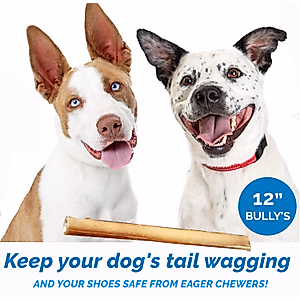 123 Treats 12-Inch Bully Sticks for Dogs (1 Pound Bag) – 100% Natural Grass-Fed Bulk Chews for Dogs & Puppies, Free-Range, Long Lasting Premium Beef Chews | Fully Digestible Dental Treats