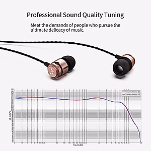 SoundMAGIC E50 Wired Earbuds No Microphone in Ear Monitor HiFi Earphones Noise Isolating Headphones Comfortable Fit Black Gold