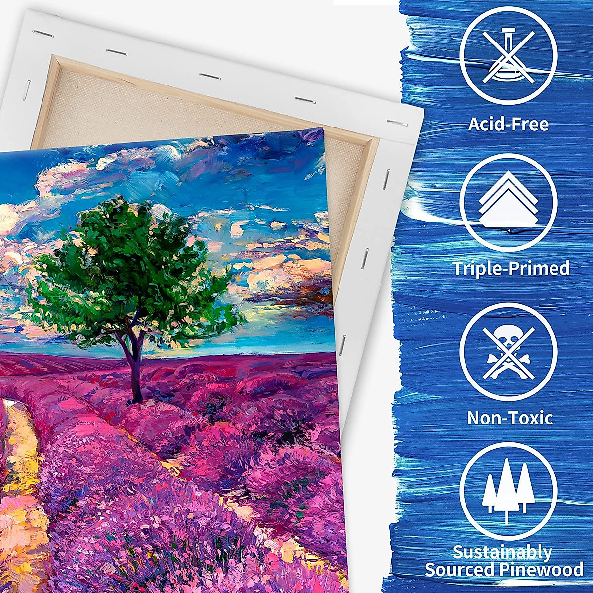 FIXSMITH Stretched Canvas for Painting- 8x10 Inch,Bulk Pack of 12,Primed,100% Cotton,5/8 Inch Profile of Super Value Pack for Acrylics,Oils & Other Painting Media.
