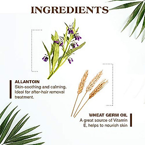 GiGi Hair Removal Strips for the Body - Pre-Waxed with GiGi All-Purpose Honee Formula, 12 Strips