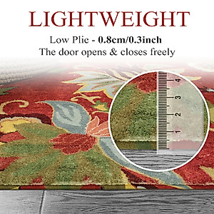 Lahome Red Floral 4x6 Washable Area Rugs- Soft Rug for Bedroom, Non-Slip Rugs for Living Room, Throw Carpet for Dinning Room Entryway Kitchen Office Nursery (4'x6', Red)