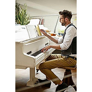 Schneider Slider Basic M (Medium) Ballpoint Pen, 1.0 mm, Transparent Barrel, Blue Ink, Box of 10 Pens (151103)