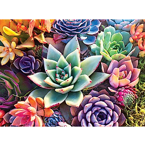Buffalo Games - James Mertke - Simple Succulent - 1000 Piece Jigsaw Puzzle For Adults - High Quality Challenging Puzzle Perfect for Game Nights - Finished Puzzle Size is 26.75 x 19.75