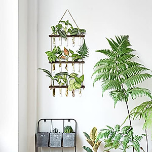 Mkono Plant Propagation Tubes, 3 Tiered Wall Hanging Plant Terrarium with Wooden Stand Mini Test Tube Flower Vase Glass Planter for Hydroponic Plant Cutting Home Garden Office Decor Plant Lover Gift
