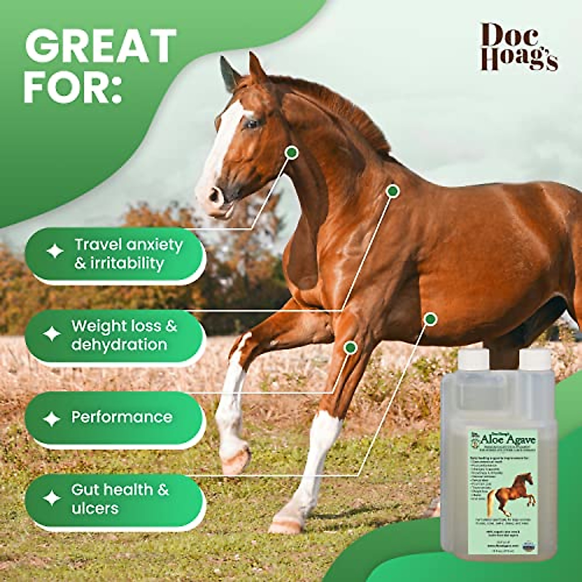 Original Udder Balm Doc Hoag’s Aloe Vera+Agave Premium Horse Supplement for Gut Health, Natural Equine Gastric Support & Stress Relief, Support Ulcer Improvement for Horses and Other Large Animals