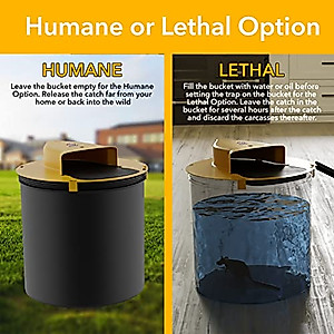 You Will RID of Pesky Rodents-Improved Flip N Slide Lid Bucket Mouse Trap-High Catch Rate-DUROWARES-Humane or Lethal-Indoor-Outdoor-Auto Reset-Concealed & Sanitary Mice Rats Control-No Direct Contact
