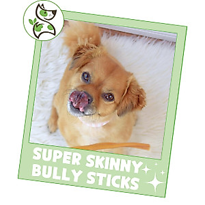 Nature Gnaws Super Skinny Bully Sticks for Small Dogs 5-6" (15 Count) - Long Lasting for Light Chewers and Puppies - Extra Thin Natural Beef Dog Chew Treats