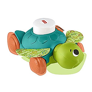 Fisher-Price Linkimals Sit-to-Crawl Sea Turtle