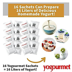 Yogourmet Yogurt Starter (16 Pack Bulk Version) - Make Yogurt at Home - Starter Culture - All Natural, Gluten Free, Kosher, Halal - 3 g Sachets