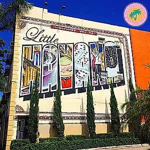 Organic Authentic Cuban Espresso Cafecito Cuba Mia Single Espresso ESE Coffee Pods | 44mm | High Intensity | Low Acidity | Dark Roast 7g Freshly Roasted in Miami, FL 18 Pod x 2 Pack