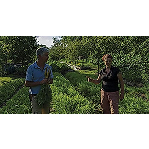 DEMAIN (DVD) (France TV) (French Edition)