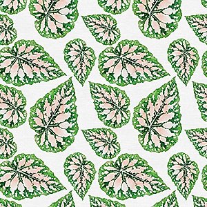 PBS Fabrics Modern Botanicals by Living Pattern, Quilter's Cotton by The Yard, Jungle Peach, Green