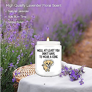 Get Well Soon Gifts for Women, Thinking of You Gifts for Women After Surgery, Feel Better Cheer up Gifts for Women, Daughter, Wife, Sister, Coworker.