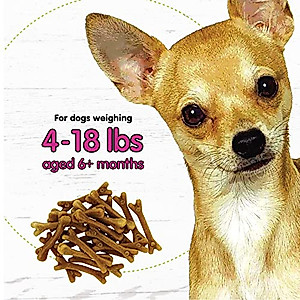 Fido Belly Bones for Dogs, Yogurt Flavored Mini Dog Dental Treats - 21 Treats Per Pack (3 Pack) - for Small Dogs (Made in USA) - Plaque and Tartar Control for Fresh Breath, Digestive Health Support