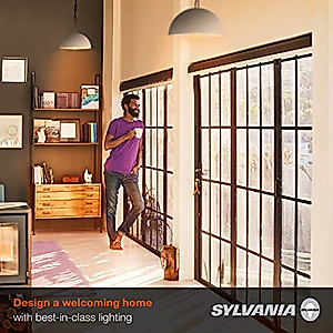 LEDVANCE Sylvania Vintage Filament LED Light Bulb, 60W = 6.5W, Dimmable, 13 Year, Amber Finish, 650 Lumens, 2175K, Amber Glow - 4 Pack (40063)