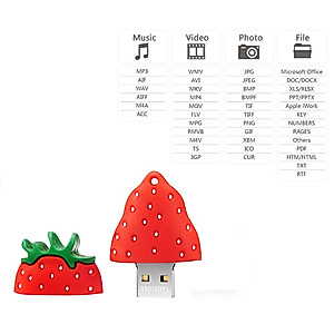 GARRULAX USB Flash Drive, 8GB / 16GB / 32GB Novelty Cute Cartoon USB Memory Stick Date Storage Pendrive Thumb Drives for Kids Children Collegue Student (32GB, Strawberry)