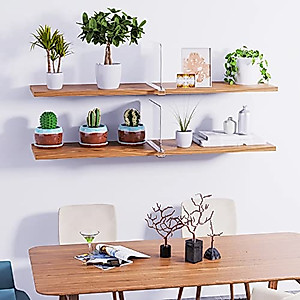 Hmyomina 6pcs Shelf Dividers for Closet Organization, Acrylic Shelf Dividers for Wood Shelf and Cabinets Shelf in Bedroom, Kitchen and Office