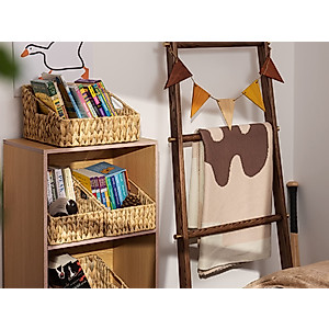 StorageWorks Wicker Baskets for Storage