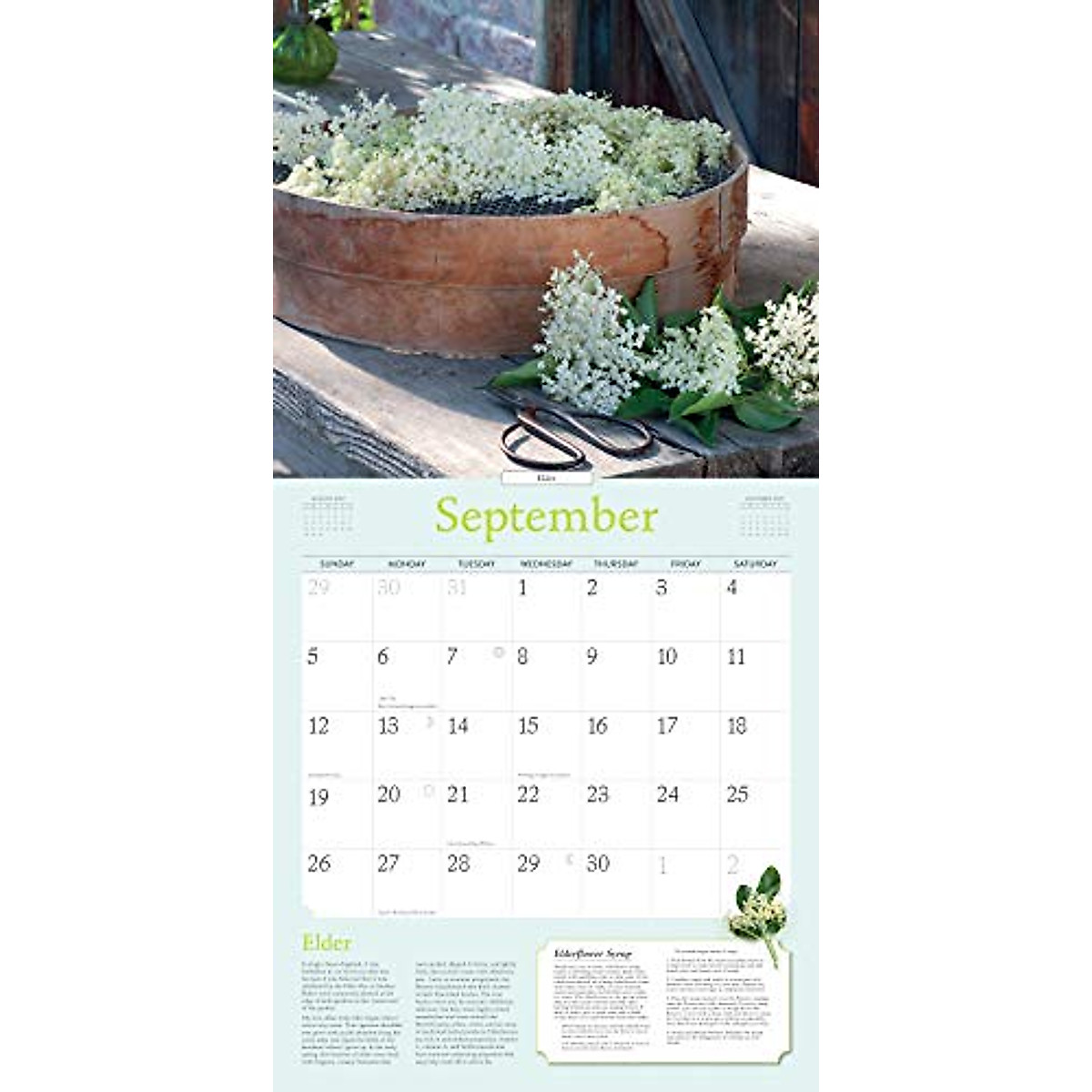 Rosemary Gladstar's Herbs Wall Calendar 2021