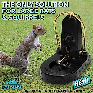 Kat Sense XXL Large Rat Traps, Not All Rodent Traps are Created Equal & This Heavy-Duty Spring Trap Will Prove It - Reusable Pest Control Trap for Rats, Squirrels, and Chipmunks 2 Pack