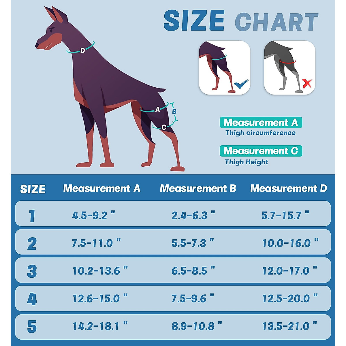 Petdream Dog Knee Brace with Vest, Support Dog Acl Brace for Hind Leg Torn, Adjustable Dog Rear Leg Braces for Cruciate Ligament Injury, Joint Pain Relief and Arthritis (Double, 2)
