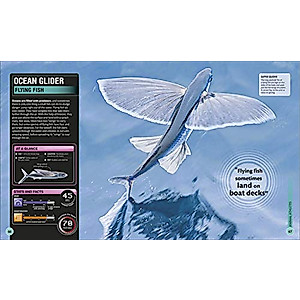 Super Shark Encyclopedia: And Other Creatures of the Deep (DK Super Nature Encyclopedias)