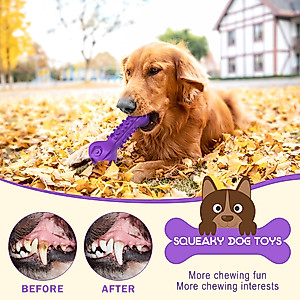 Wonfly Indestructible Dog Chew Toys, 8inch Dog Squeak Toys for Large Dogs Aggressive Chewers, Natural Rubber Dog Interactive Dog Toys for Medium Large Dogs, Boredom Puzzle Feeder (Purple)