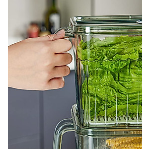 Transparent with handle kitchen drain box basket fruit vegetable food refrigerator frozen storage box food container