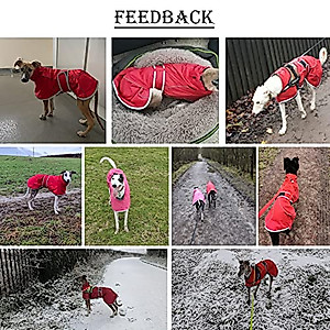 Greyhound Winter Coat, Whippet Coat with Padded Fleece Lining, Water Resistant Dog Jacket with Adjustable Bands and Reflective - Pink - XXLarge