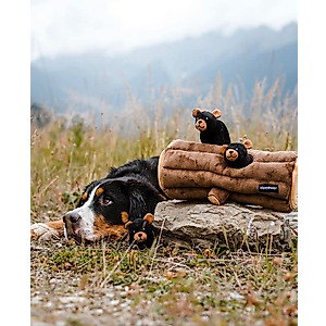 ZippyPaws Burrow, Woodland Friends Black Bear Log - Interactive Dog Toys for Boredom - Hide and Seek Dog Toys, Colorful Squeaky Dog Toys for Small & Medium Dogs, Plush Dog Puzzles