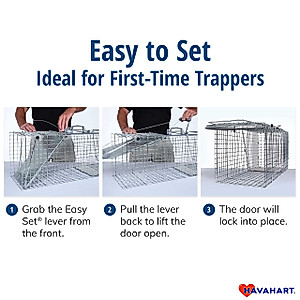 Havahart 1083 Catch and Release Small 1-Door Easy Set Humane Live Animal Trap for Squirrels, Rabbits, Skunks, and Other Small Animals