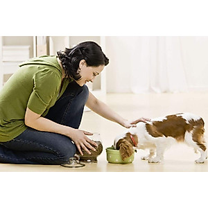 I LOVE MY PETS LLC pet Digestive - Digestive AID for Dogs - PET PROBIOTIC Vegetable stearic Acid - 120 Treats (2 Bottles)