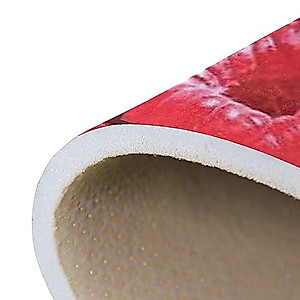 Doormat Welcome Door Mat-Red Raspberries As Background 4x5 Film,Living Room Kitchen Floor Mat Home  Indoor Outdoor Decoration 24X16INCH