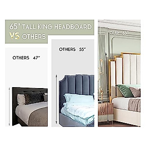 HOWE King Size Bed Frame and 65" Headboard, Upholstered Bed with Golden Plating Trim, Modern Platform Bed No Box Spring Needed, Cream