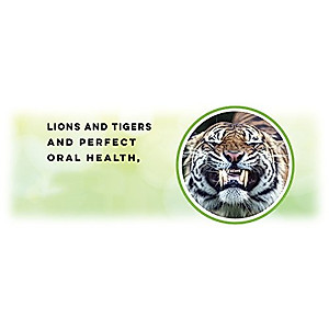 PetzLife Peppermint Oral Care Gel, 1 oz