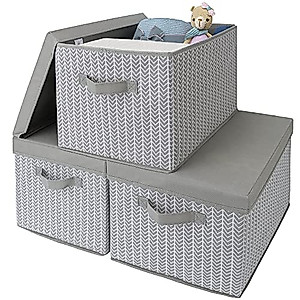 GRANNY SAYS Bundle of 1-Pack Extra Large Rectangle Storage Bins & 3-Pack Large Rectangle Closet Storage Bins with Lids