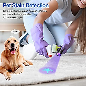Vansky Black Light UV Flashlight Blacklight 12 LED Urine Detector for Dog/Cat/Pet Urine & Dry Stains and Bed Bug On Carpets/Rugs/Floor,Matching with Pet Odor Eliminator