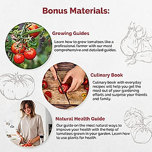 14 Rare Tomato & Tomatillo Garden Seeds Variety Pack for Planting Outdoors & Indoor Home Gardening 800+ Non-GMO Heirloom Tomato & Tomatillo Seeds: Beefsteak, Roma, Pear, Thai, Cherry Tomatoes & More