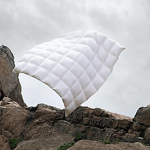 zzlamb All Season Warm Feather Down Comforter Lightweight Duvet Insert Queen Size, Durable Cotton-Blended Down Proof Shell Duvet Insert with Corner Tabs, Queen Size 90''x90'' White