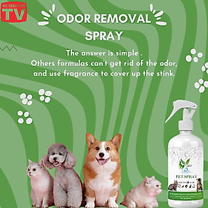 VoilaVe Pure Hypochlorous Acid Spray for Dogs, Cats | Pet Spray for Itchy, Irritated Skin, Allergy, Rashes | Supports Hydration, and Reduce Odor - 8 Oz