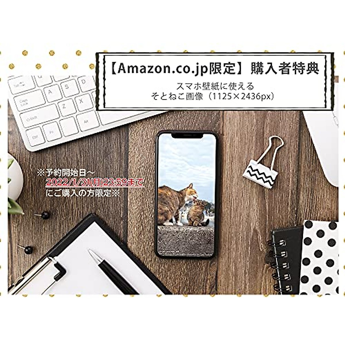 そとねこ (インプレスカレンダー2022)